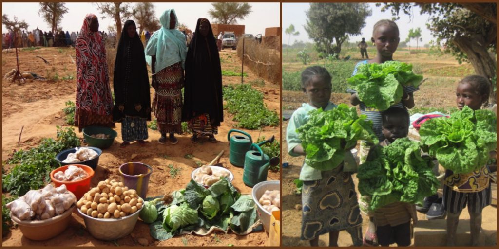 Wells Bring Hope Simiri CEG, Niger – Another Village Transformed