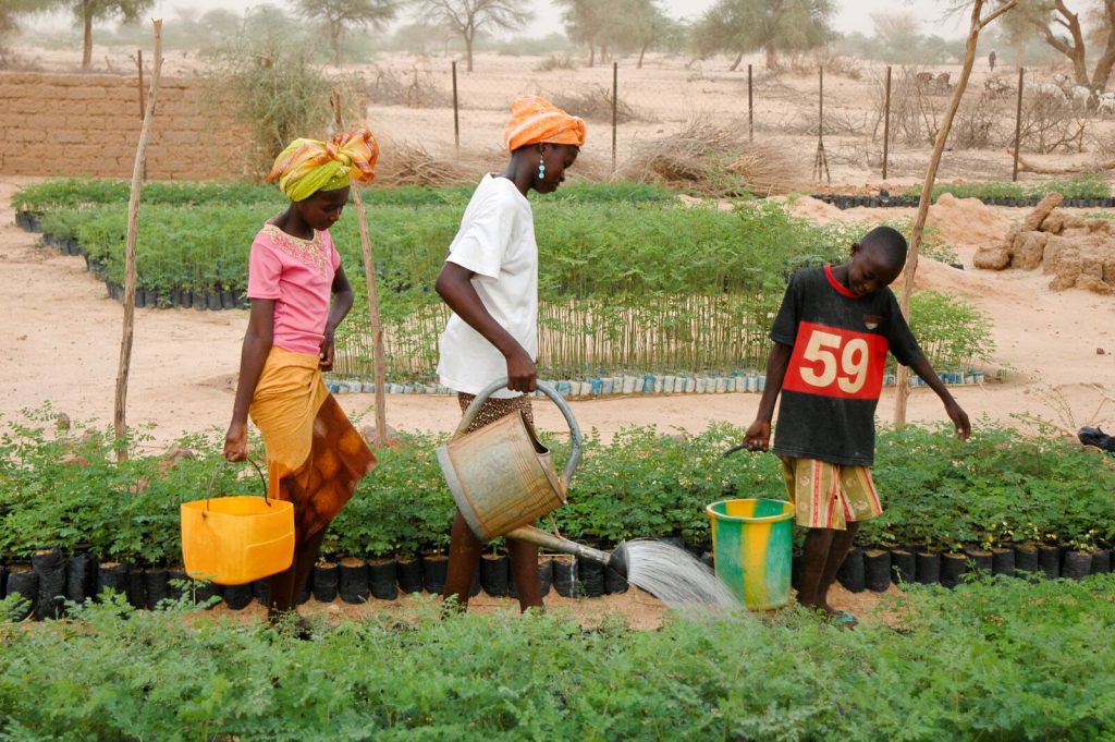 Wells Bring Hope The Nomadic Life in Niger