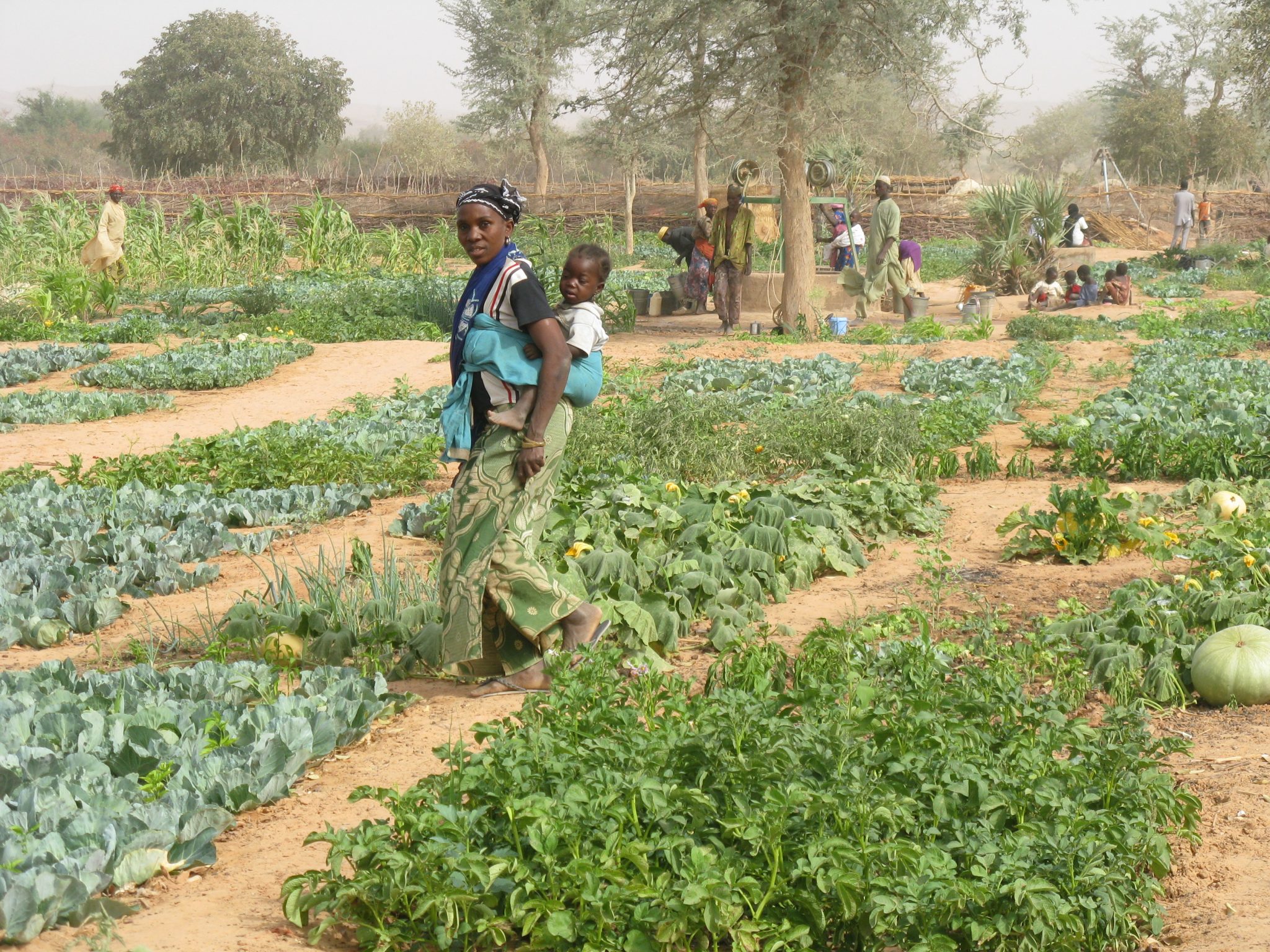 Wells Bring Hope Combating the Effects of Climate Change in Niger