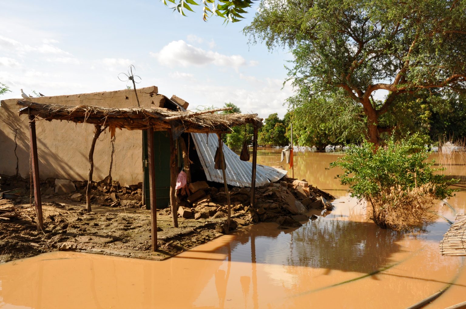 Wells Bring Hope Combating the Effects of Climate Change in Niger