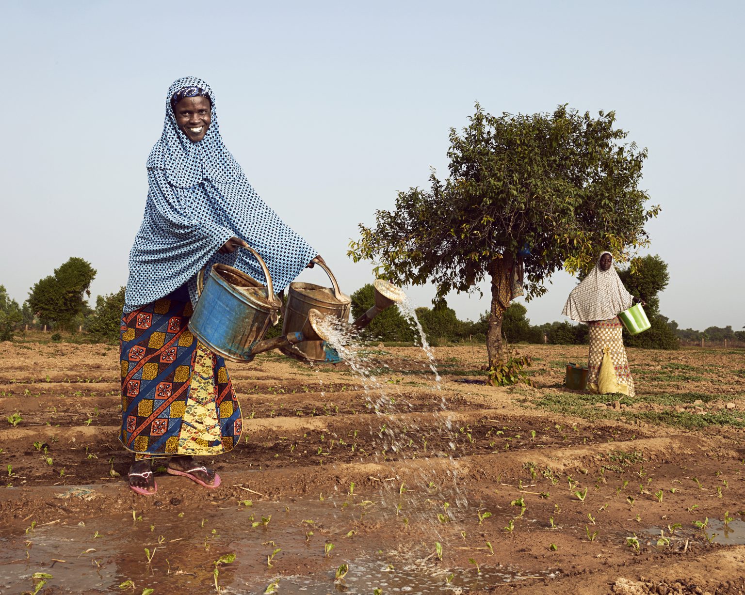 Wells Bring Hope How Niger’s Agricultural Industry Is Fighting Back ...